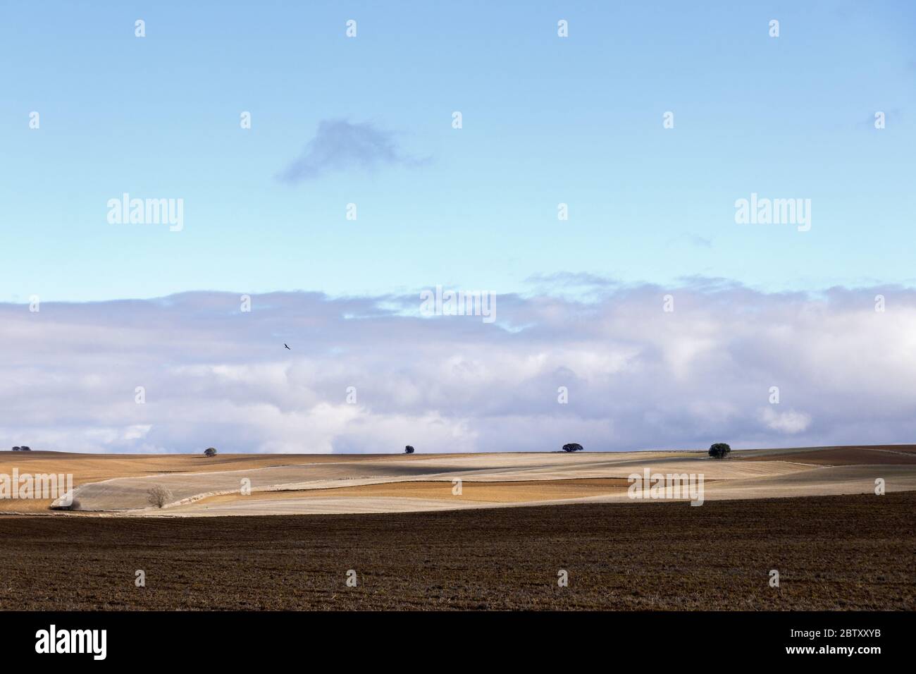 Farm land spain hi-res stock photography and images - Alamy