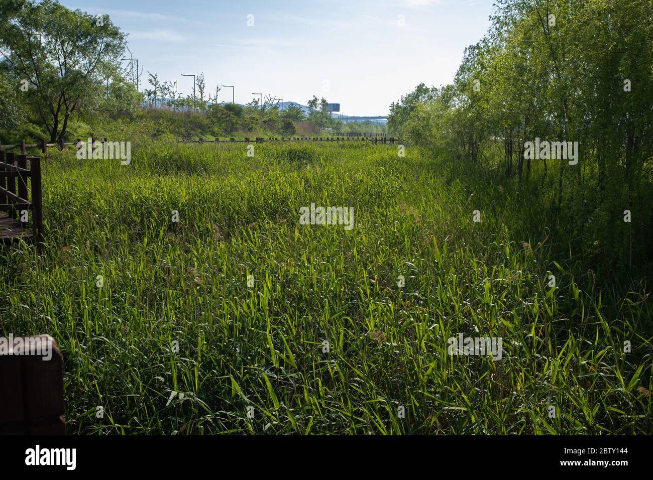 Grassed field hi-res stock photography and images - Alamy
