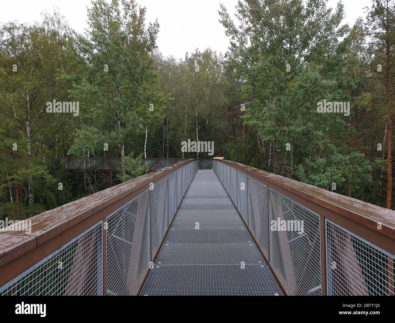 High elevated path at the top of the trees Stock Photo - Alamy