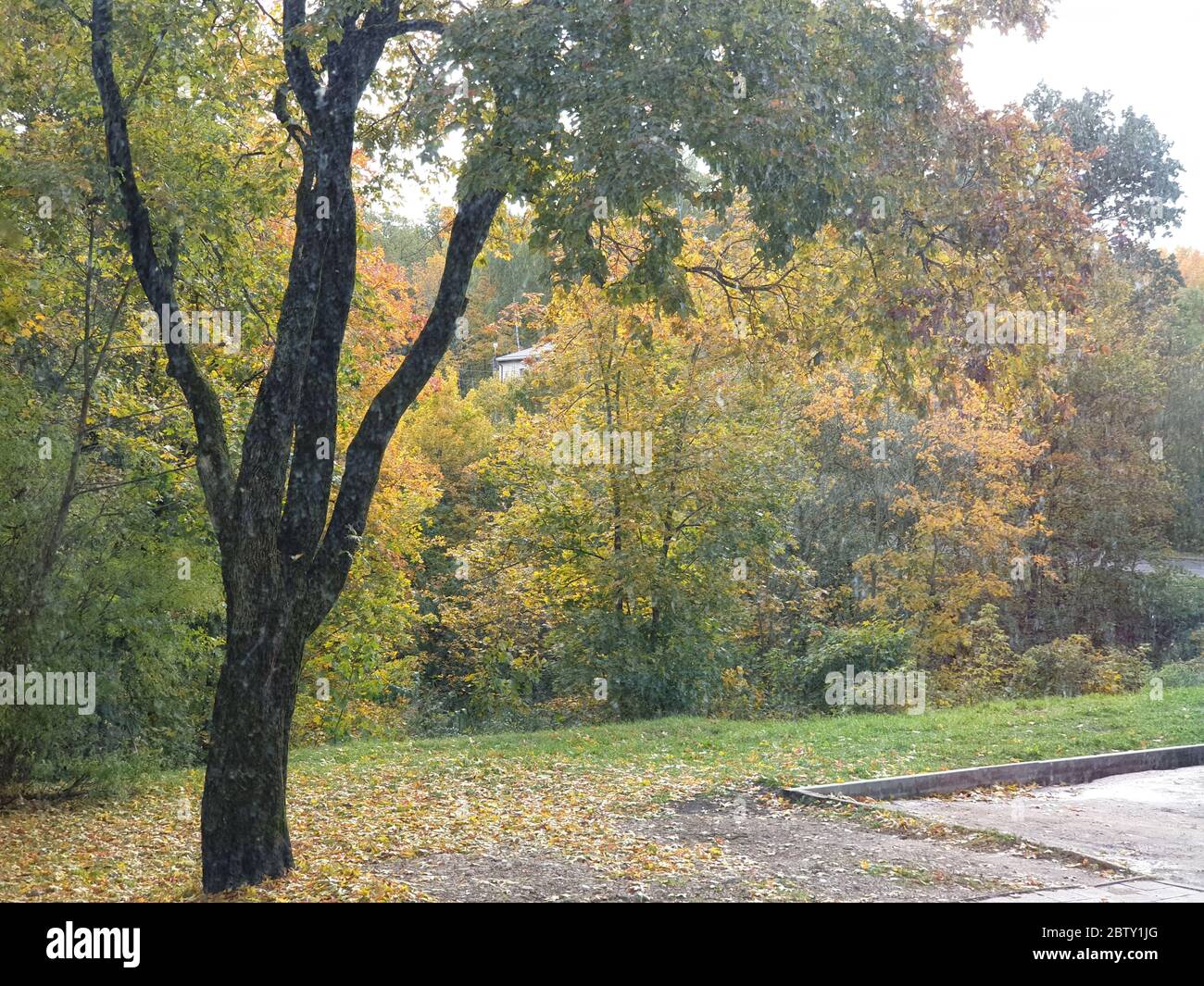 Autumn in the city. Parking lot near by Stock Photo - Alamy