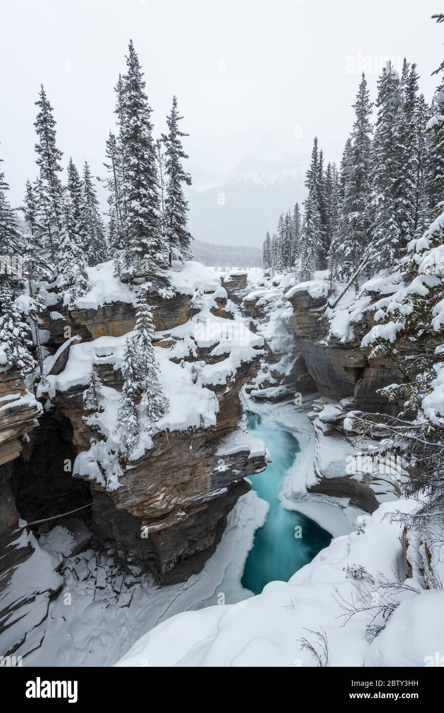 Partly frozen Athabasca Falls in mid-winter, Banff National Park ...