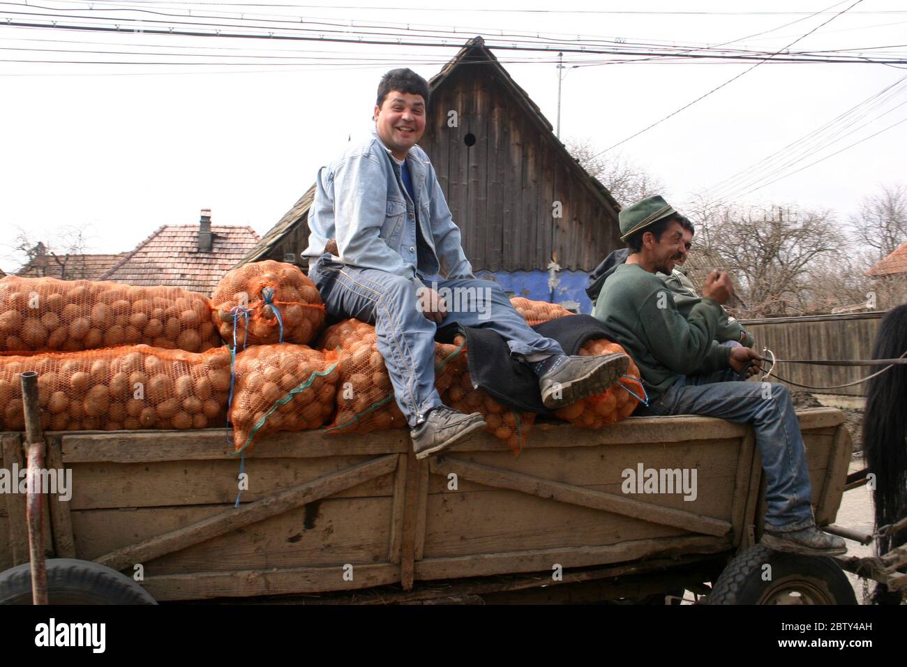 Potatoes transport hi-res stock photography and images - Alamy
