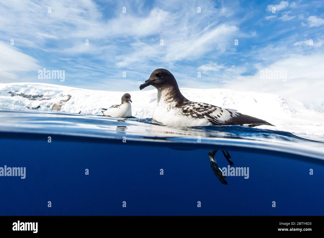 Curious cove hi-res stock photography and images - Alamy