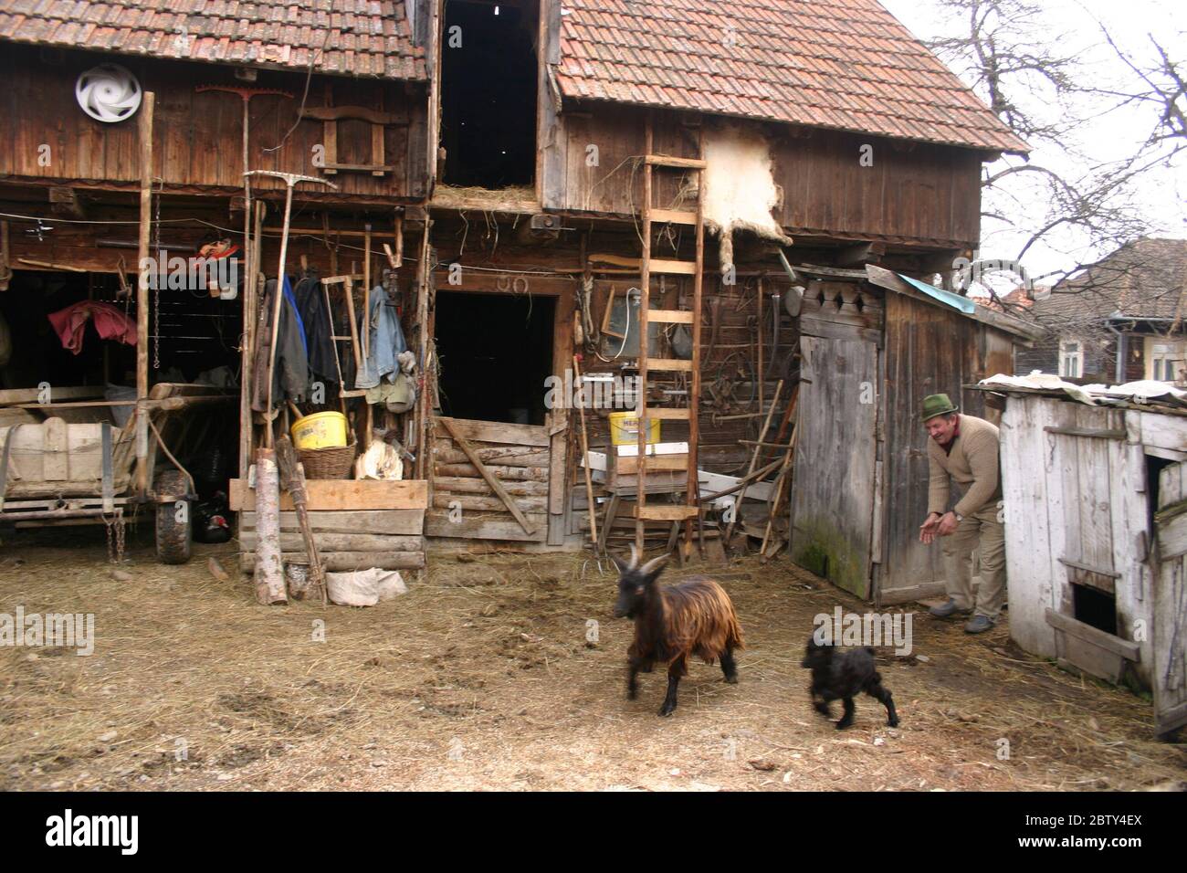 Large wooden barn in Covasna County, Romania. Traditional courtyard ...