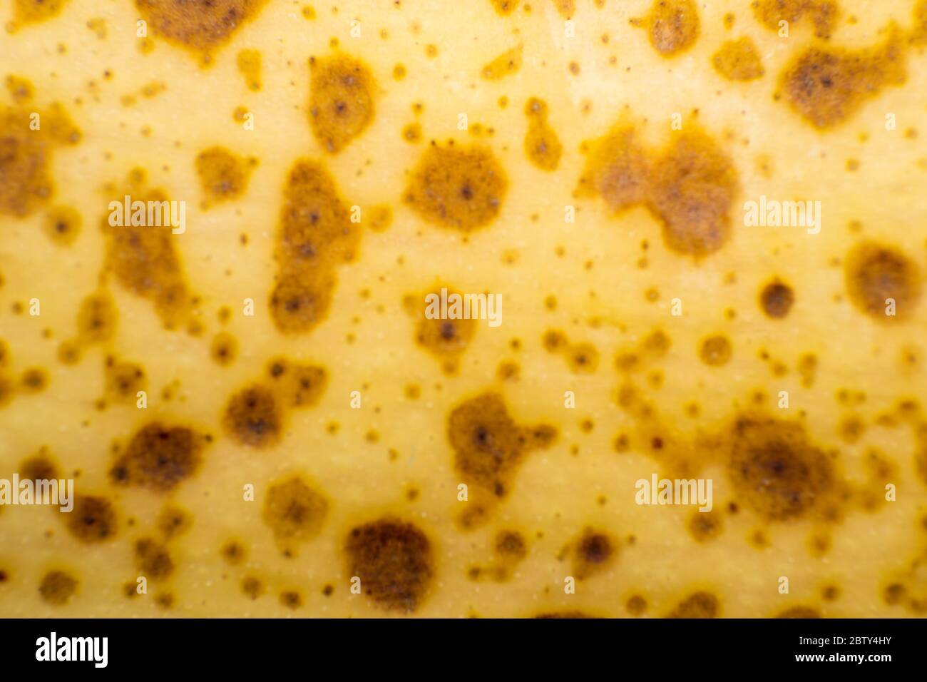 macro photo of a banana shell with black spots Stock Photo - Alamy