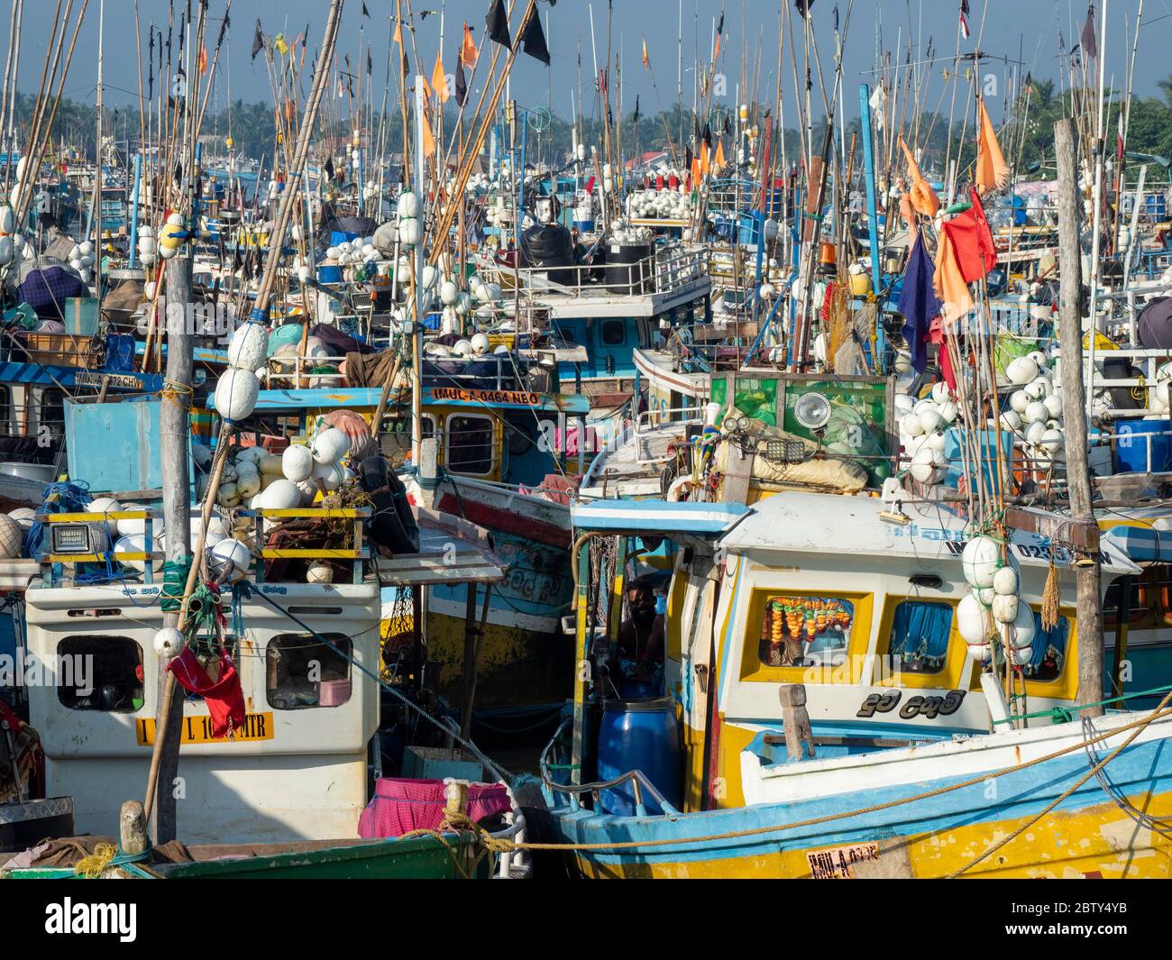 The fishing fleet at harbor near the Negombo fish market, Negombo, Sri ...