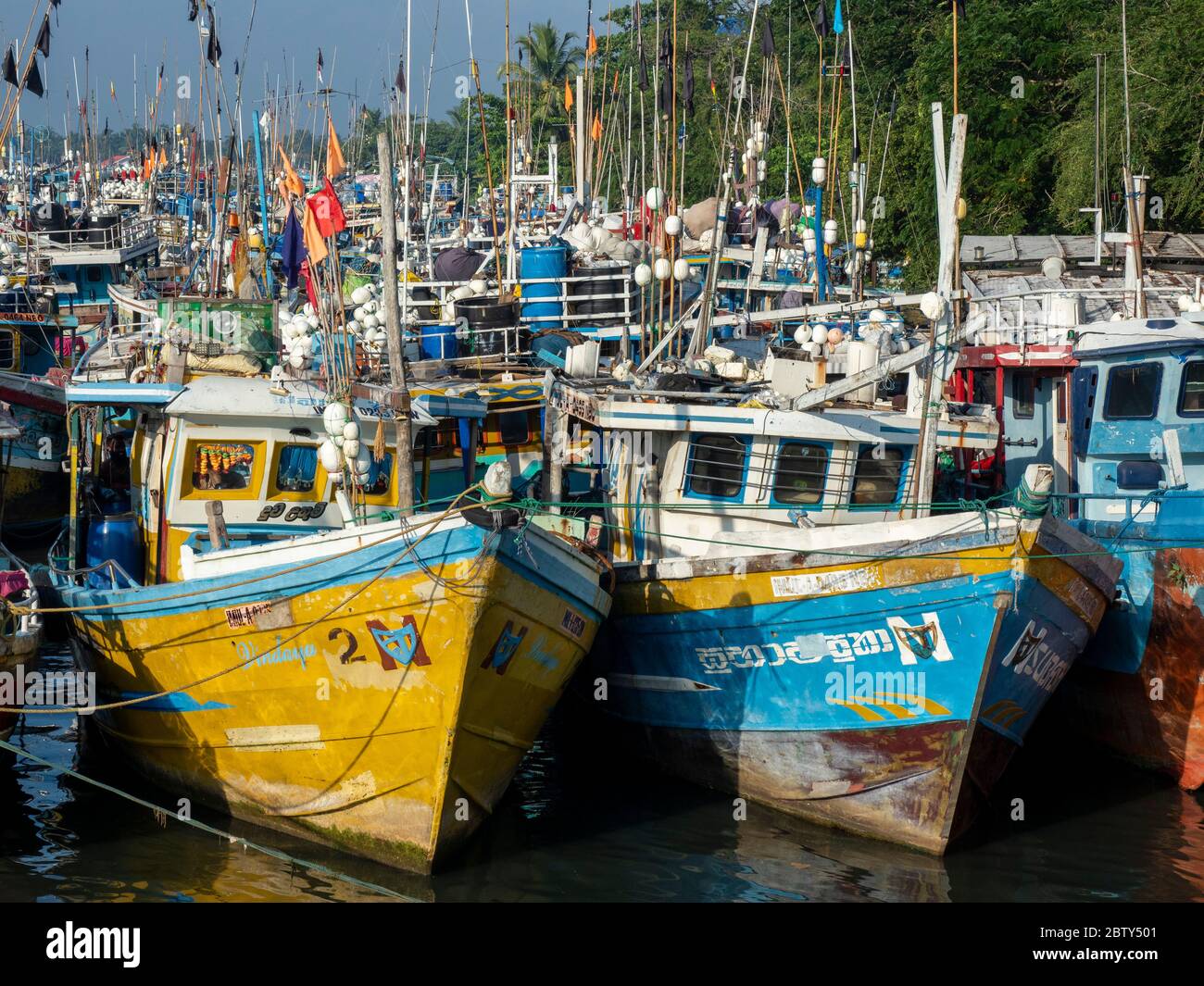 The fishing fleet at harbor near the Negombo fish market, Negombo, Sri ...