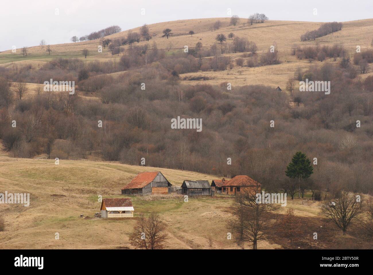 Winter landscape with some houses in mountainous area in Covasna County ...
