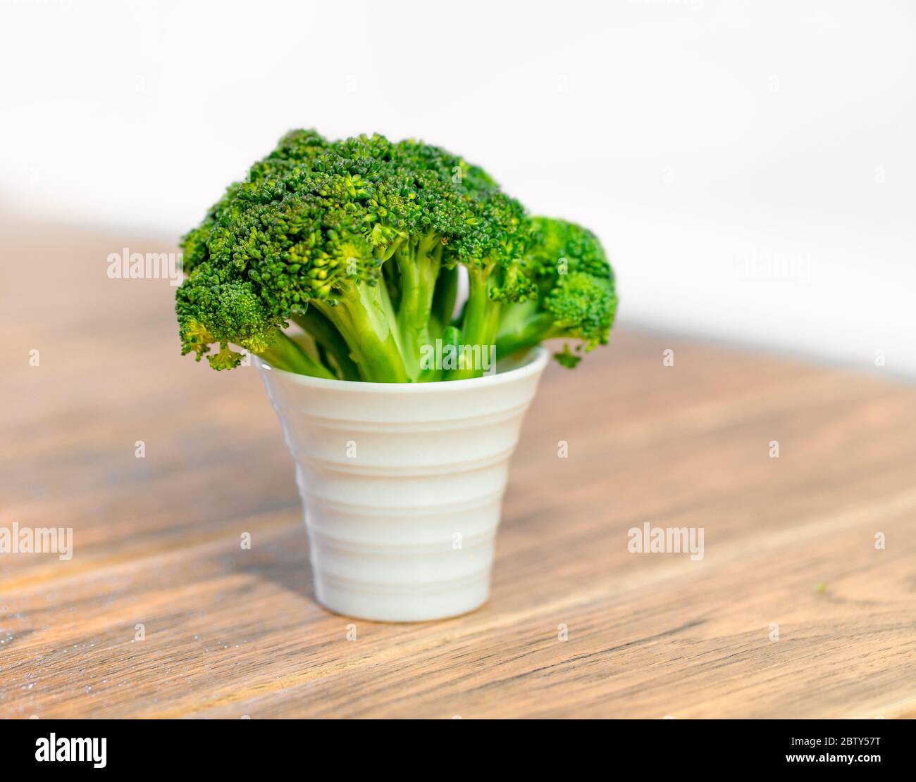 small green tree-shaped broccoli in a white pot close-up in a wood ...