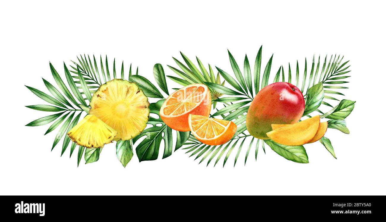 Watercolor tropical fruits. Horizontal border with orange, ananas ...