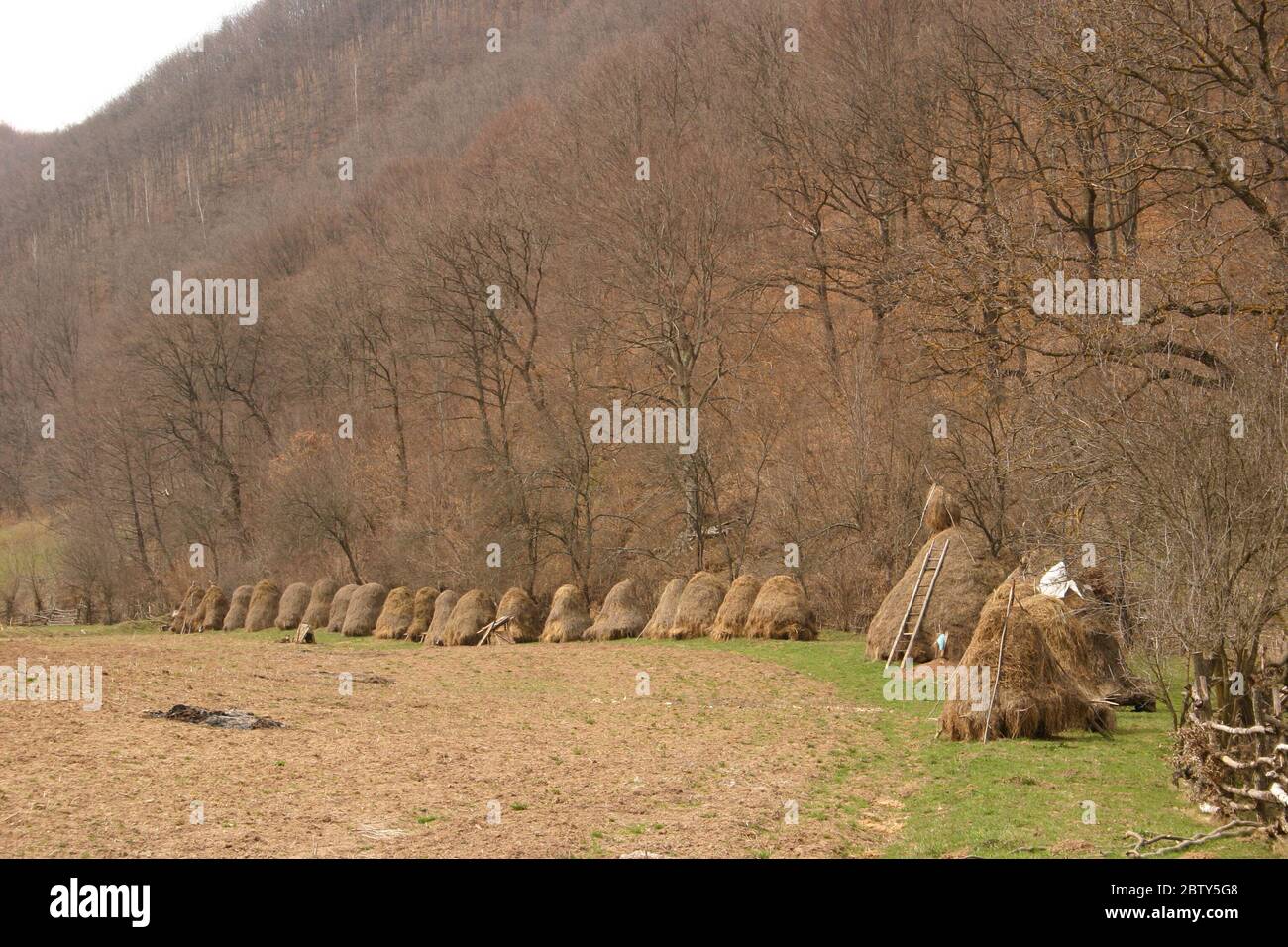 Loose edge hi-res stock photography and images - Alamy