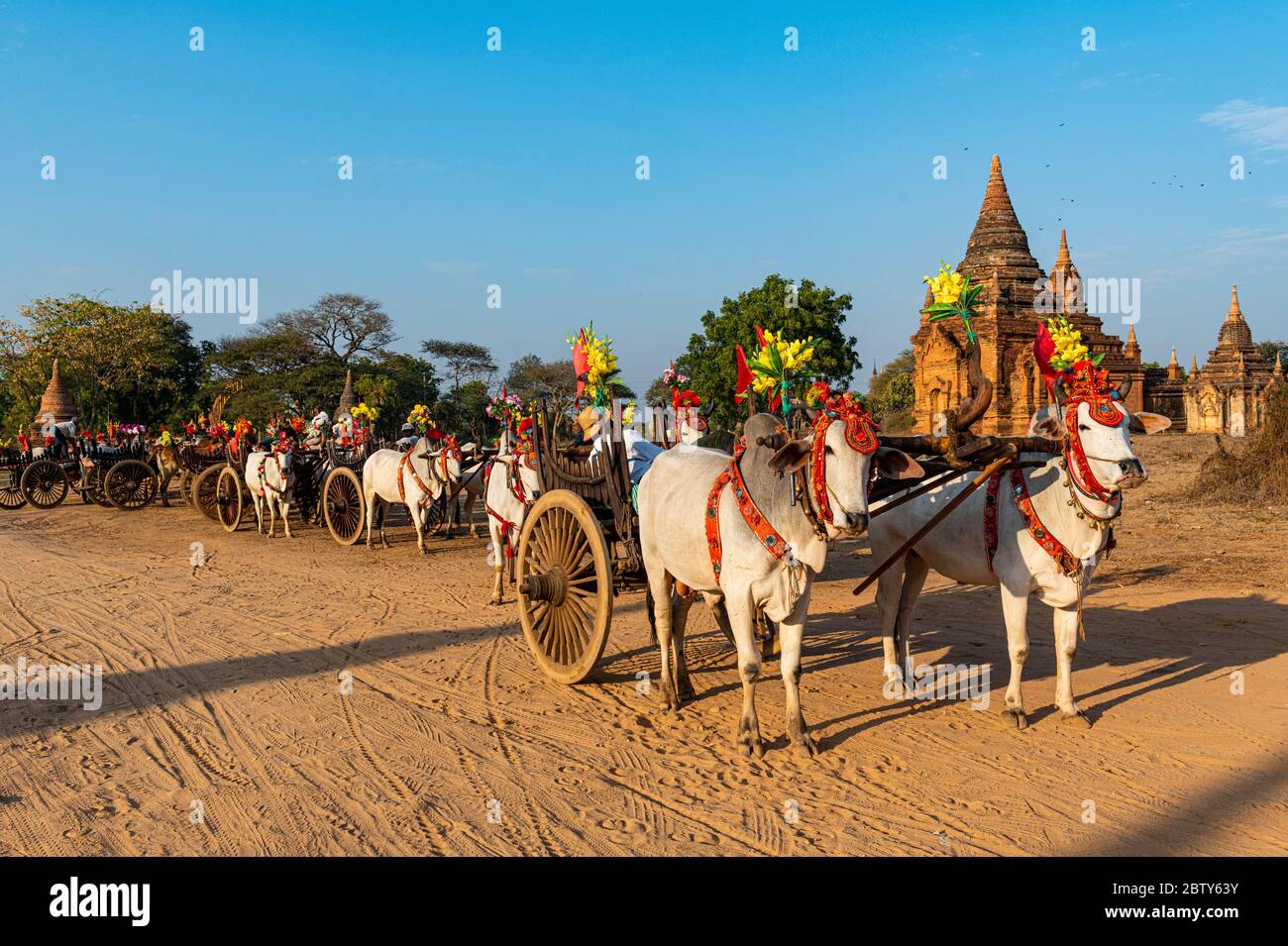 Decorated carts hi-res stock photography and images - Alamy