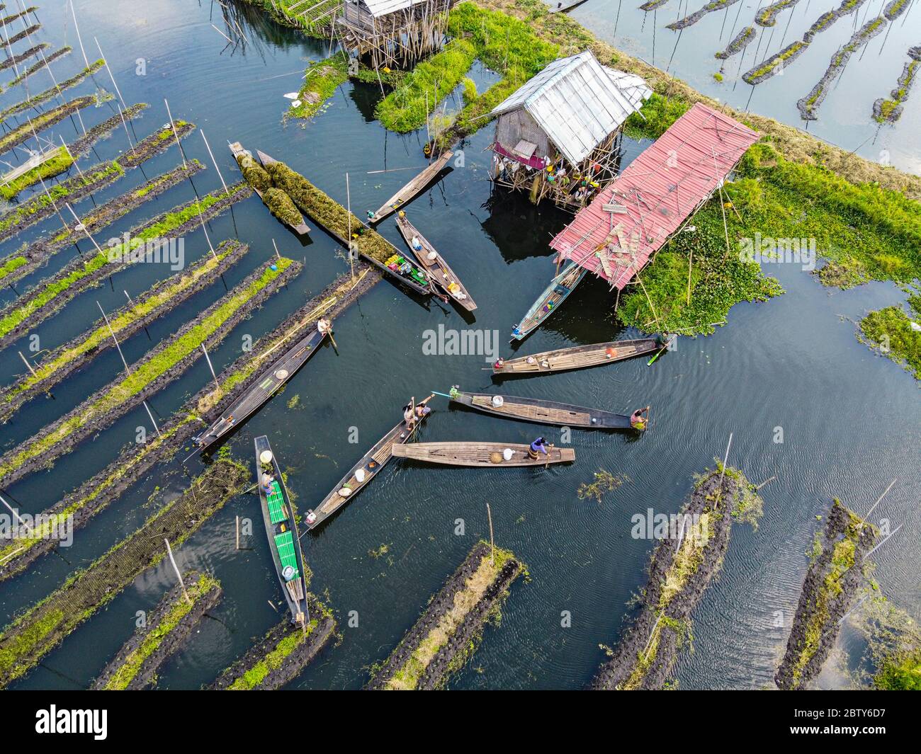 Aerial by drone of canoes in the floating gardens, Inle Lake, Shan ...