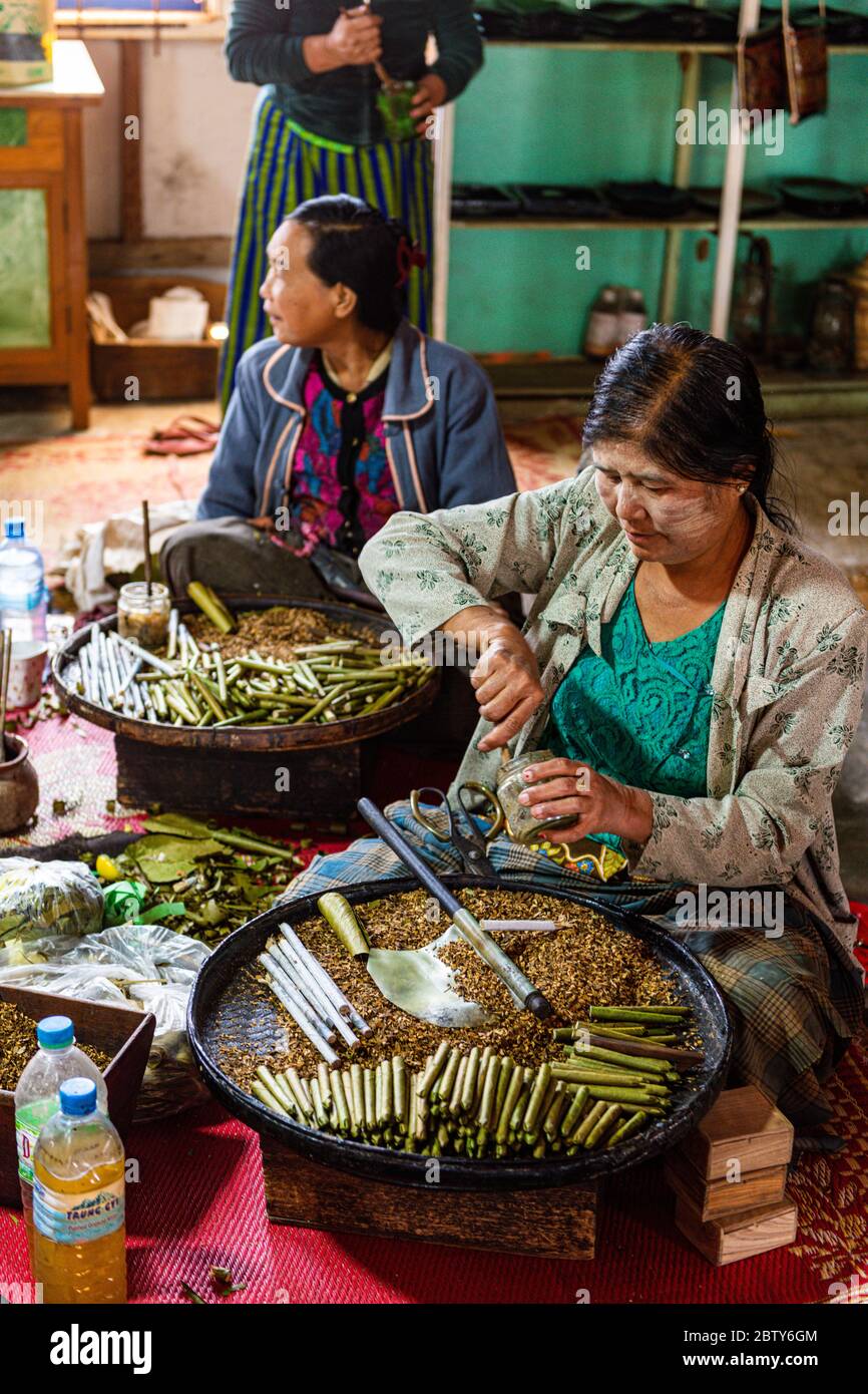 Cigar (cheroot) and cigarette hand made rolling, Inle Lake, Shan state ...