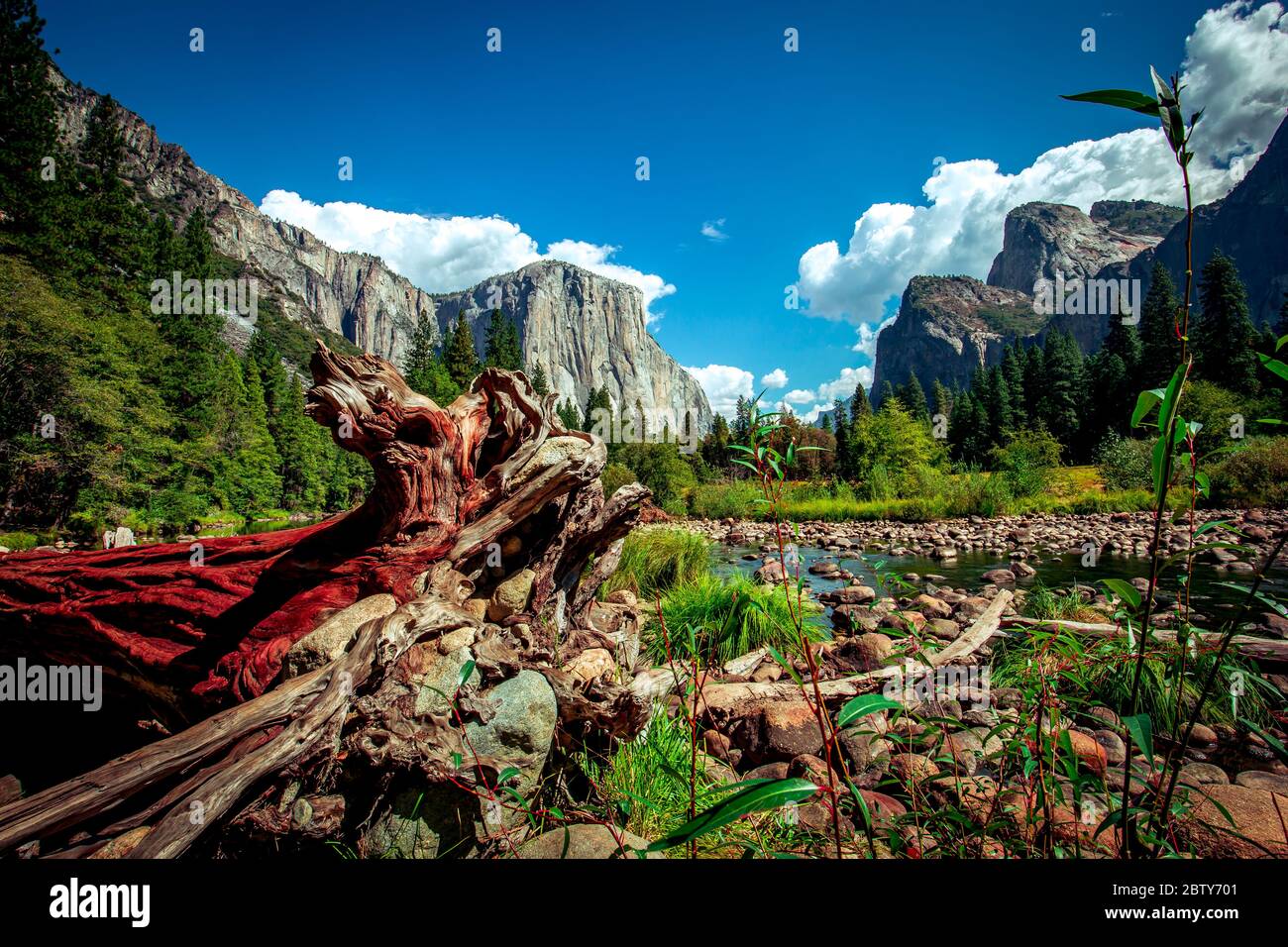 World famous rock climbing wall of El Capitan, Yosemite national park ...