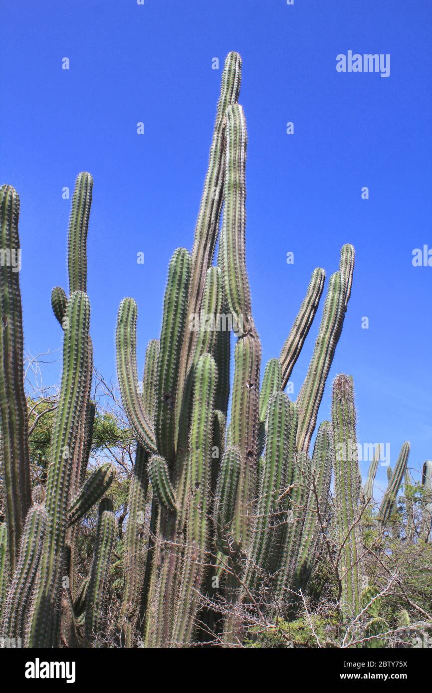 Arikok national park hi-res stock photography and images - Alamy