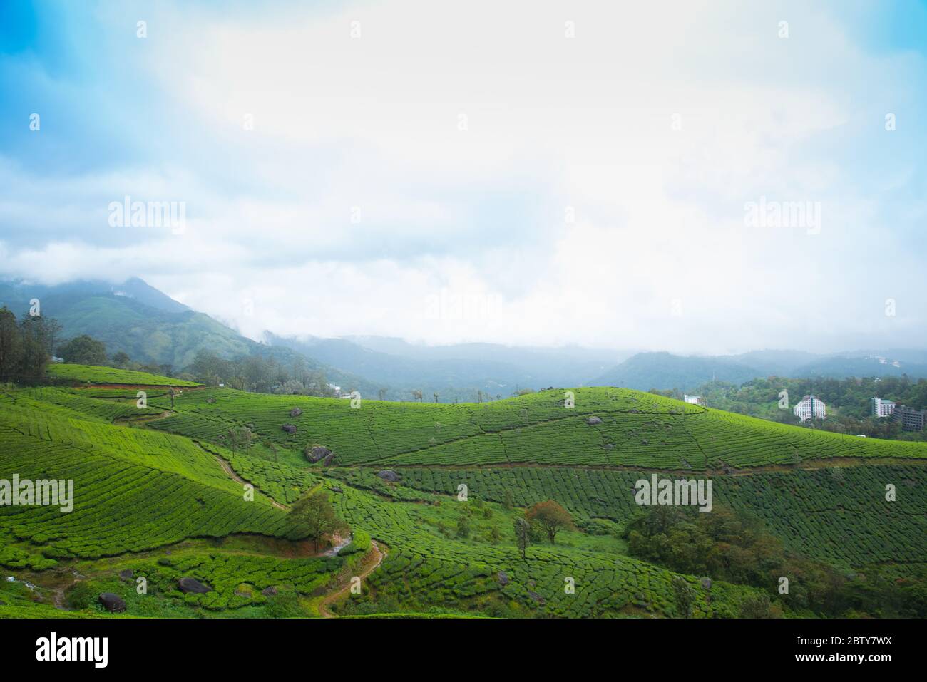 Munnar Tea Plantation Landscape , Kerala, India Stock Photo - Alamy