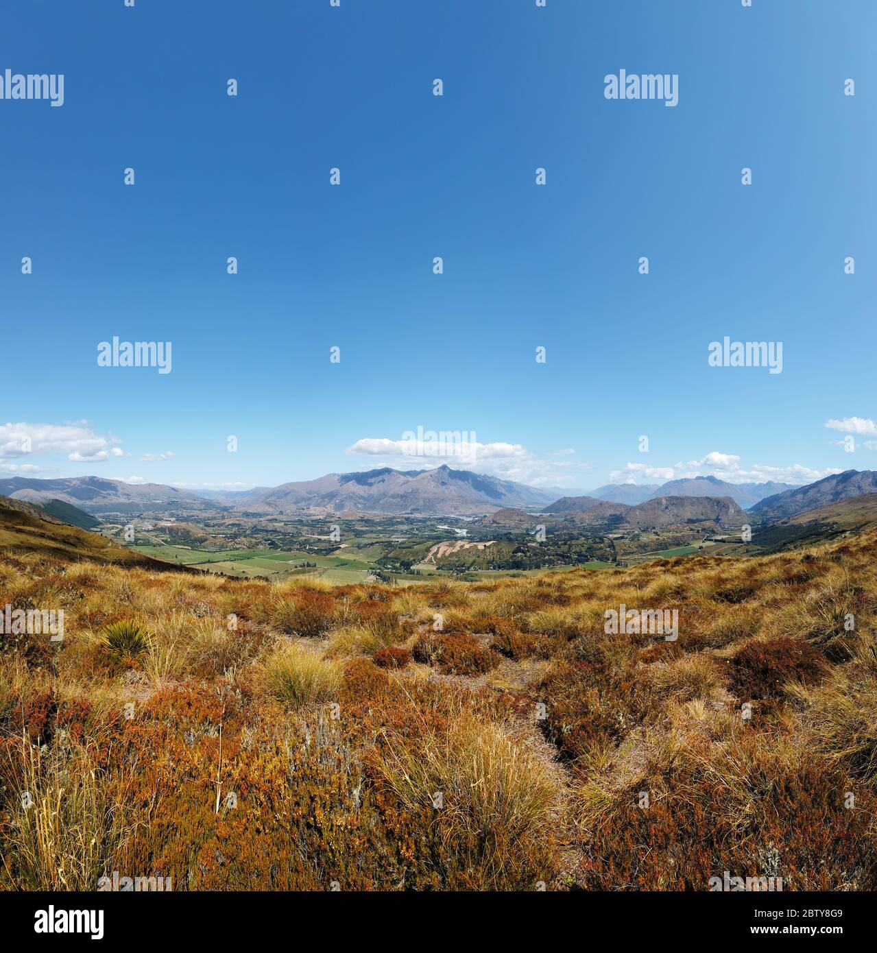 Valley near Queenstown, Otago, South Island, New Zealand, Oceania Stock ...