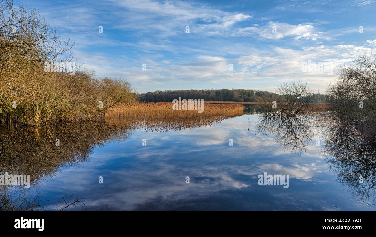 Dromore woods hi-res stock photography and images - Alamy