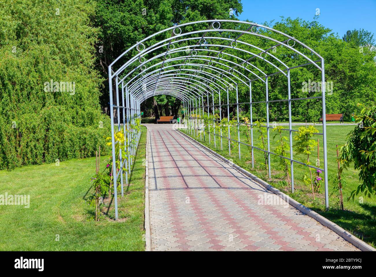 park alley with pedestrian path Stock Photo - Alamy