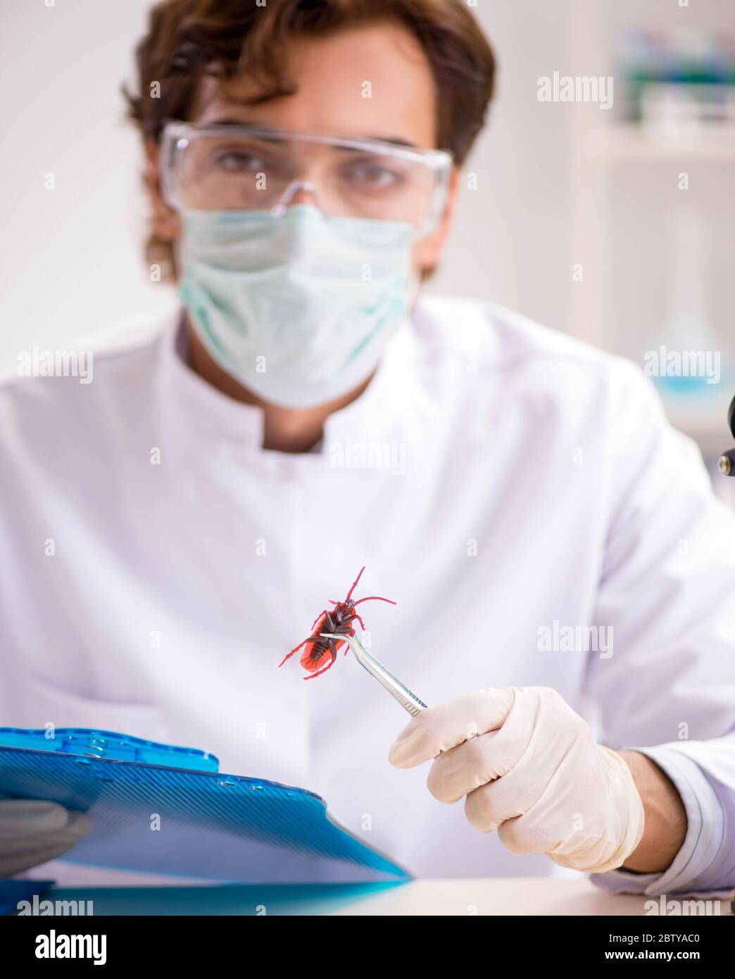 The male entomologist working in the lab on new species Stock Photo - Alamy
