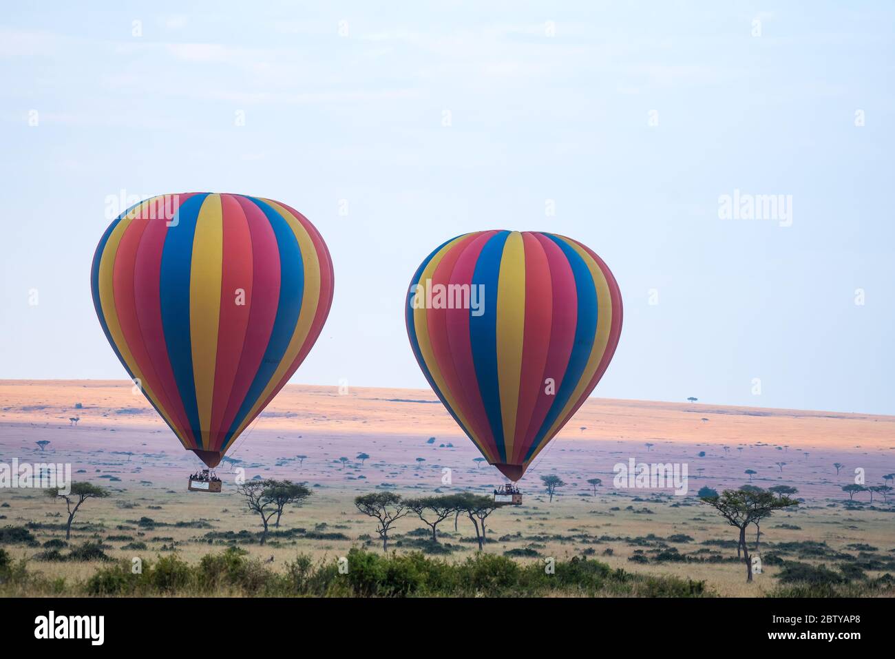 Balloon Safari from Masai Mara or Hot Air Balloons Stock Photo - Alamy
