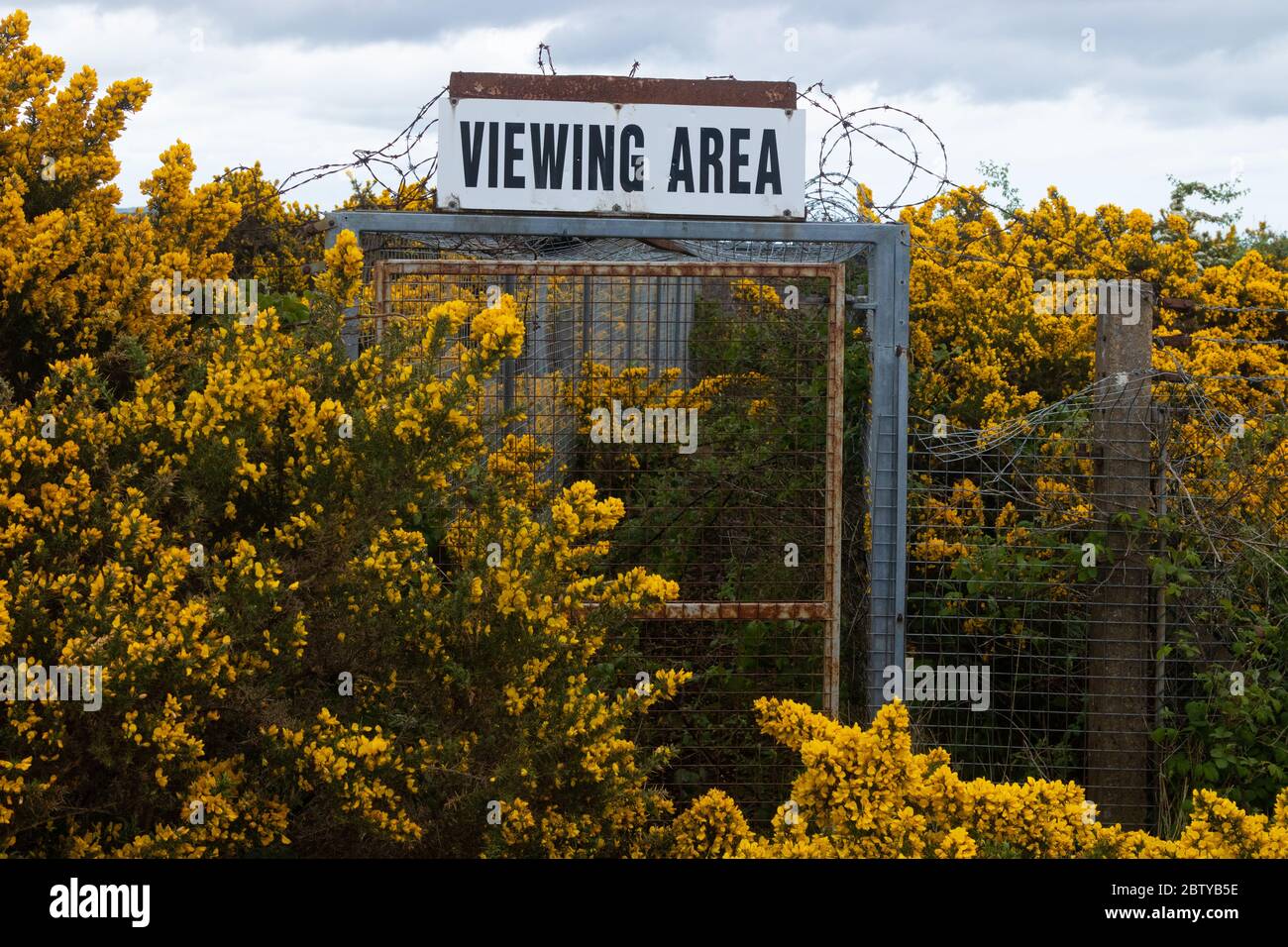 Viewing flowers hi-res stock photography and images - Alamy