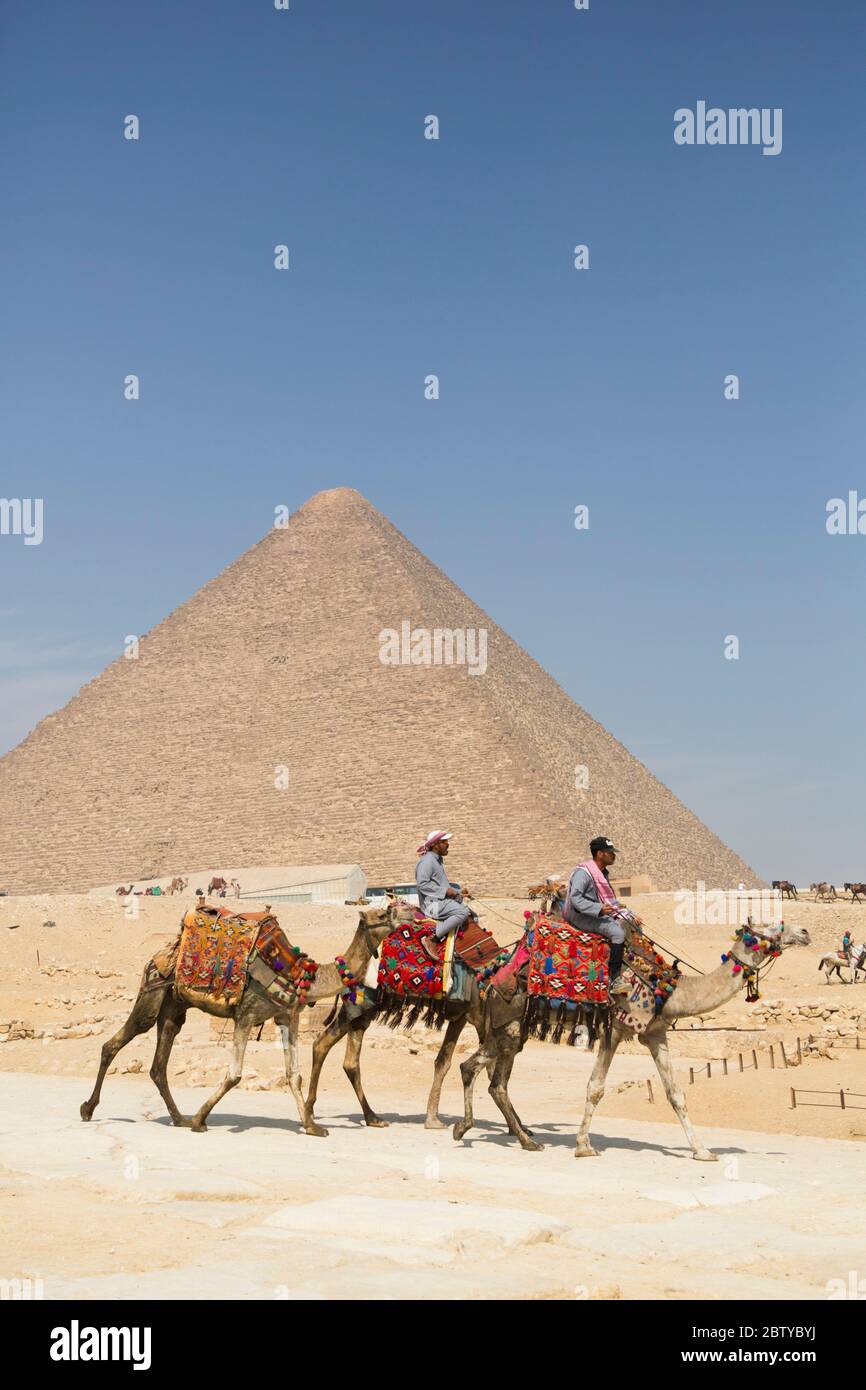 Local men riding camels, Khufu Pyramid in the background, Great ...