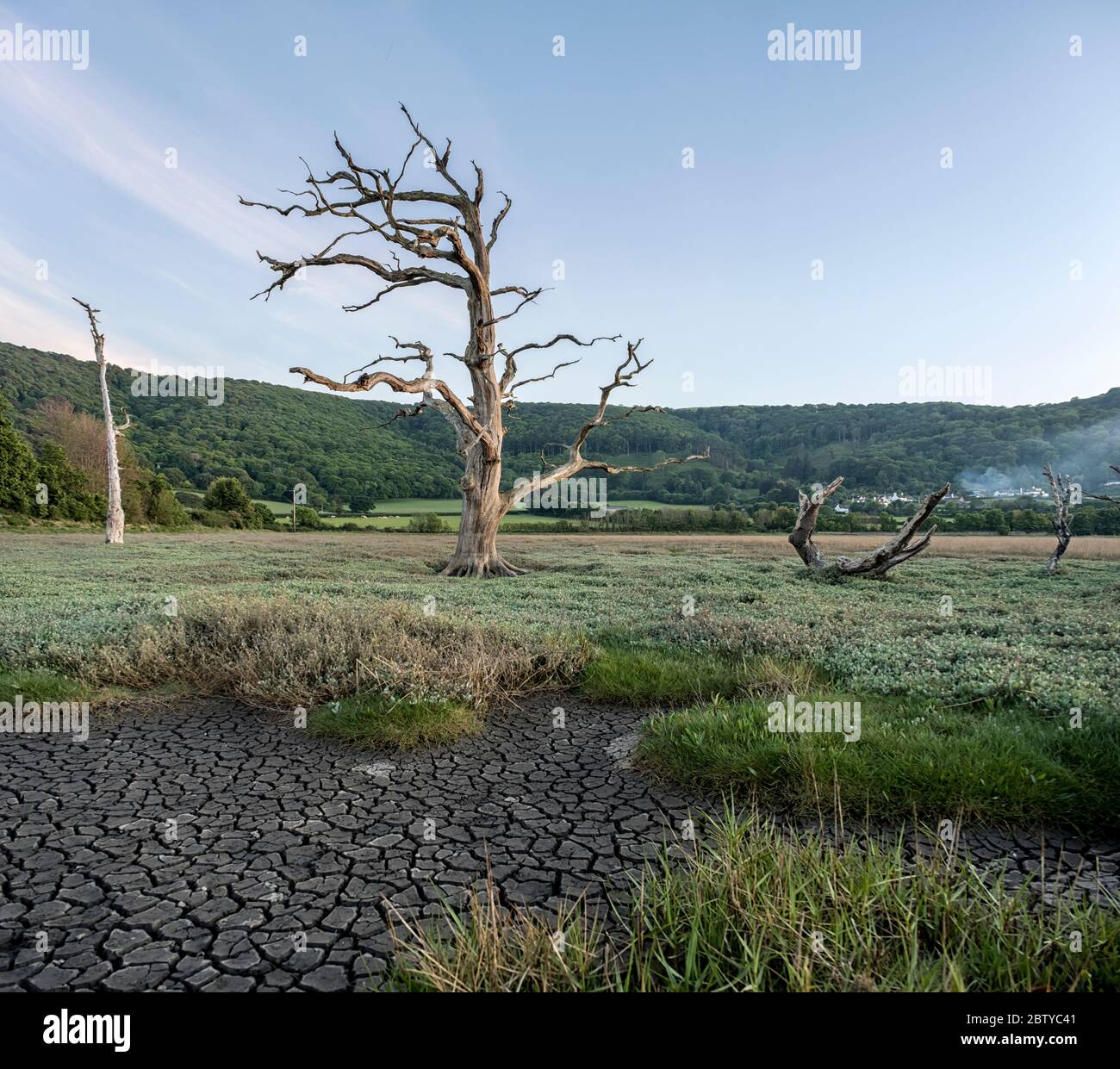 Porlock weir and spring hi-res stock photography and images - Alamy