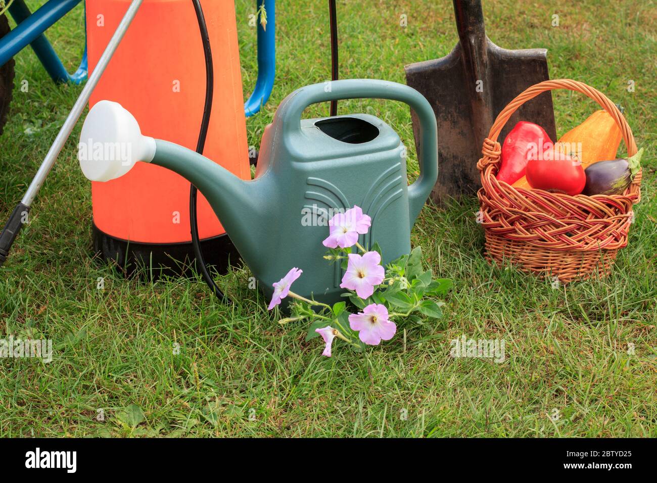 Wheelbarrow with a watering can, a garden pressure sprayer, a spade and ...