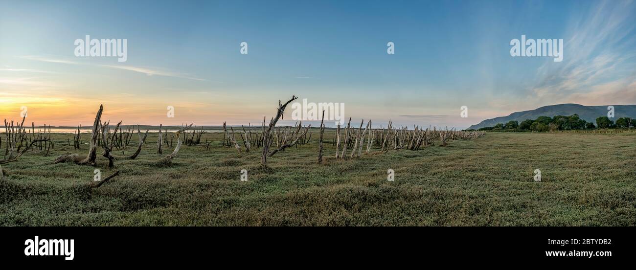 Porlock weir and spring hi-res stock photography and images - Alamy