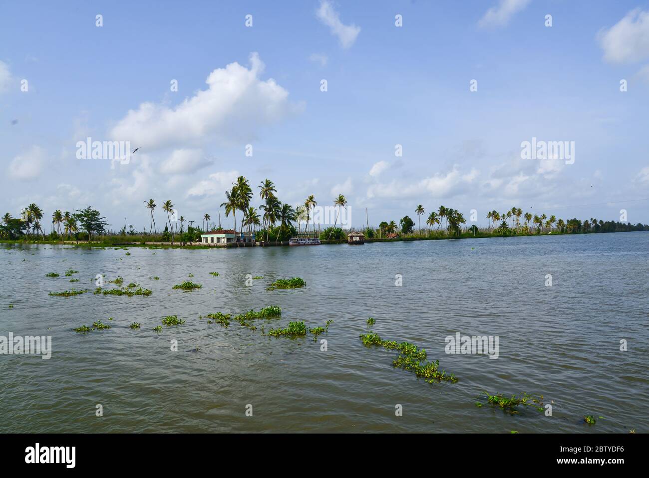 Punnamada kayal hi-res stock photography and images - Alamy