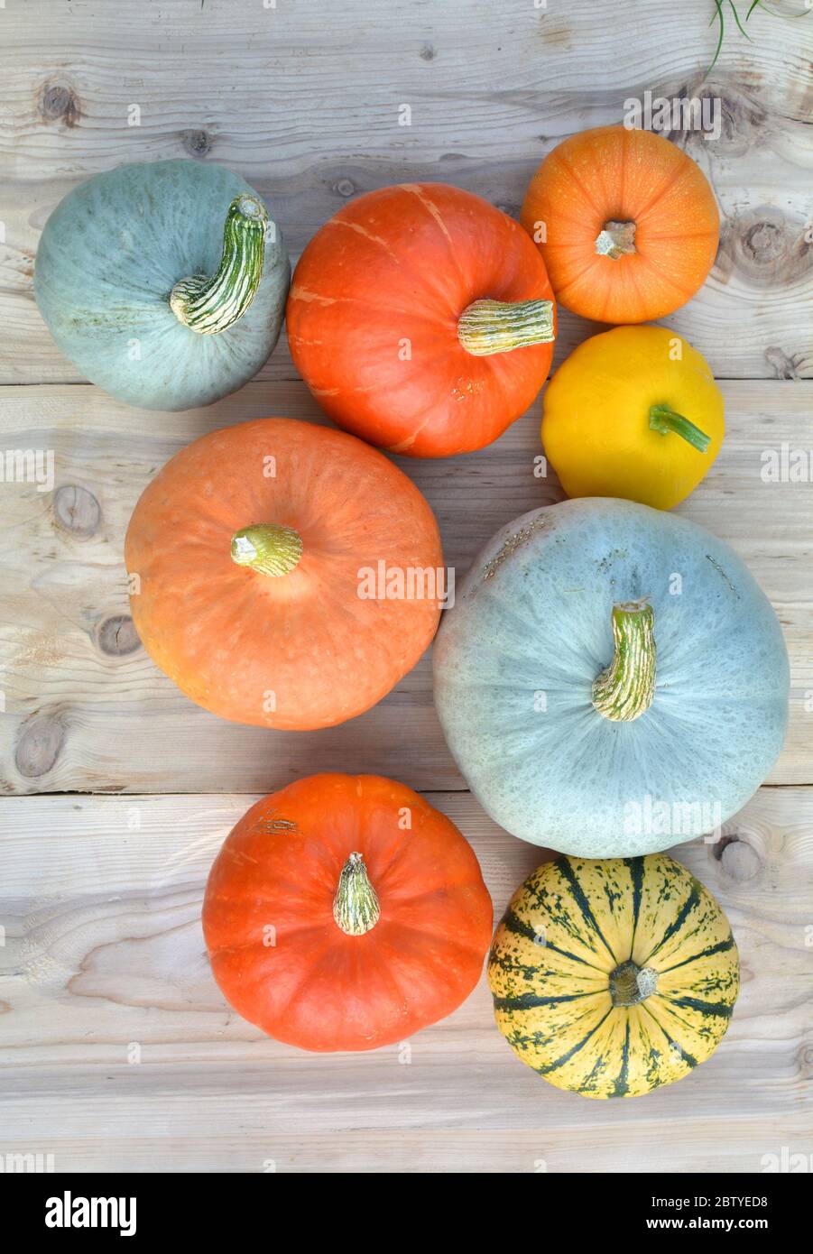 Squash varieties hi-res stock photography and images - Alamy