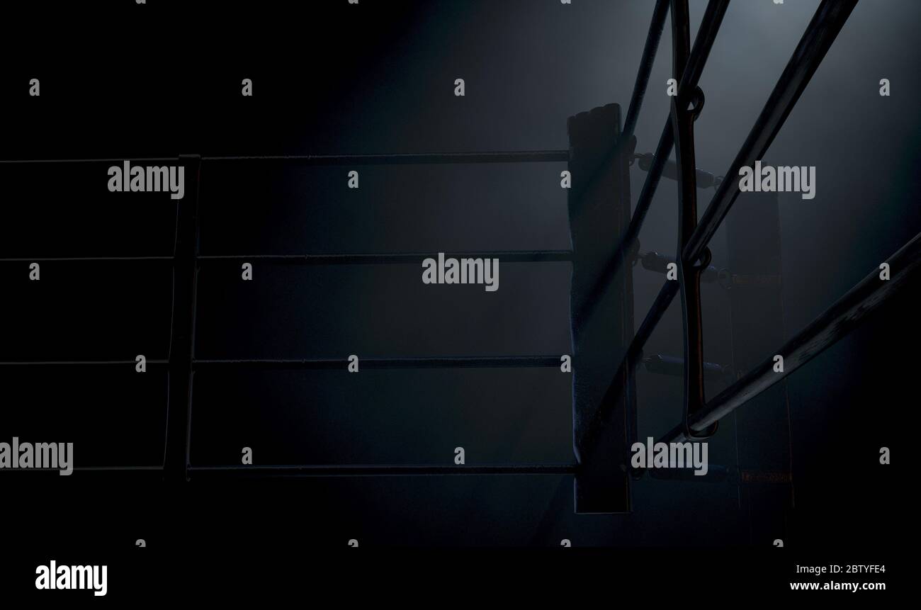 Boxing Ring Corner Wallpaper