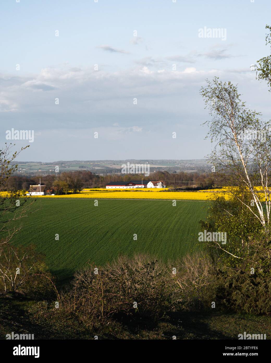 Farmland with farm building, yellow canola fields, green crop fields ...