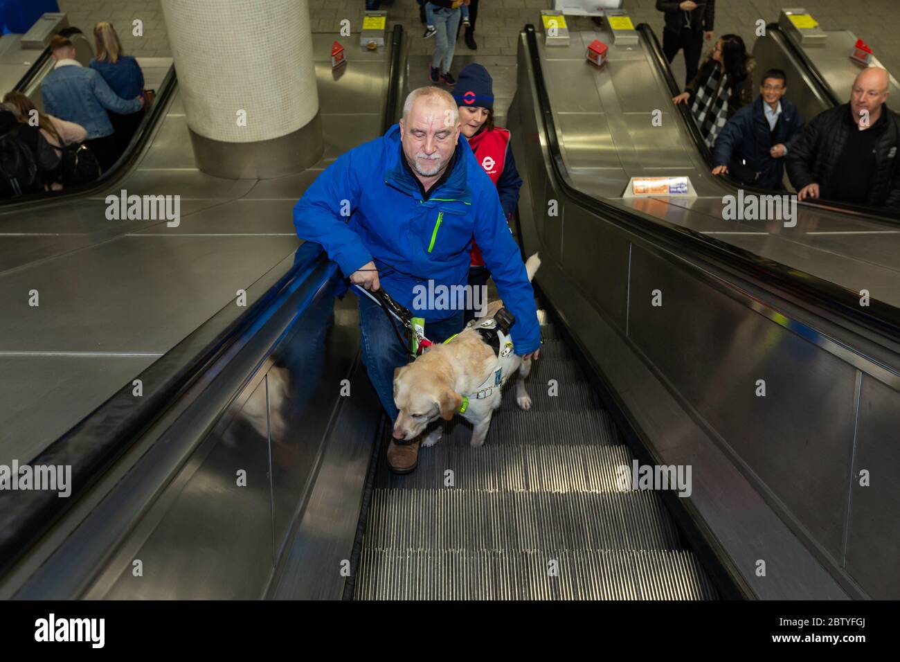 Guide dog disability train hi-res stock photography and images - Alamy