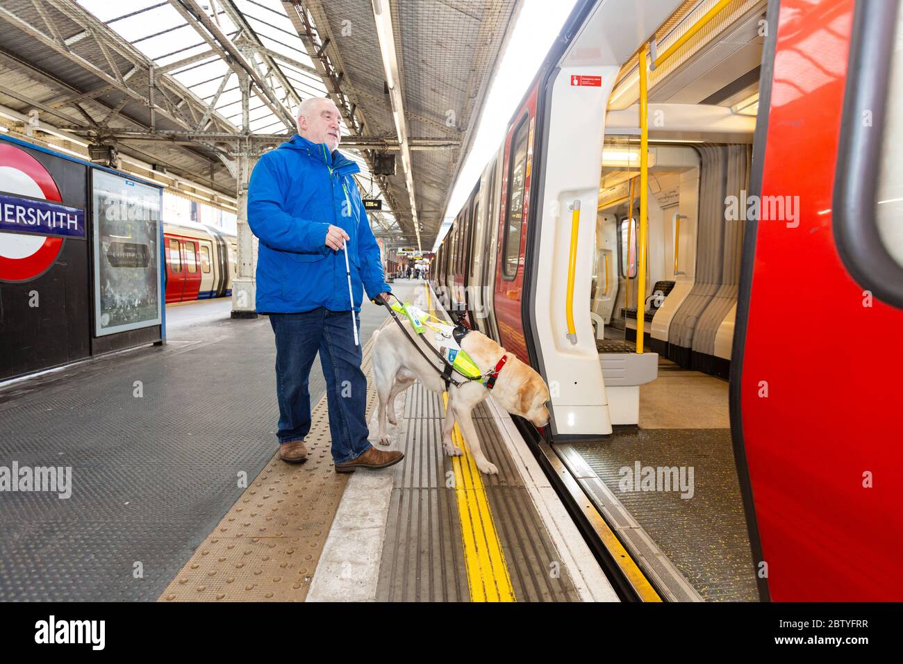 Guide Dog user boarding the Underground at Hammersmith Stock Photo - Alamy