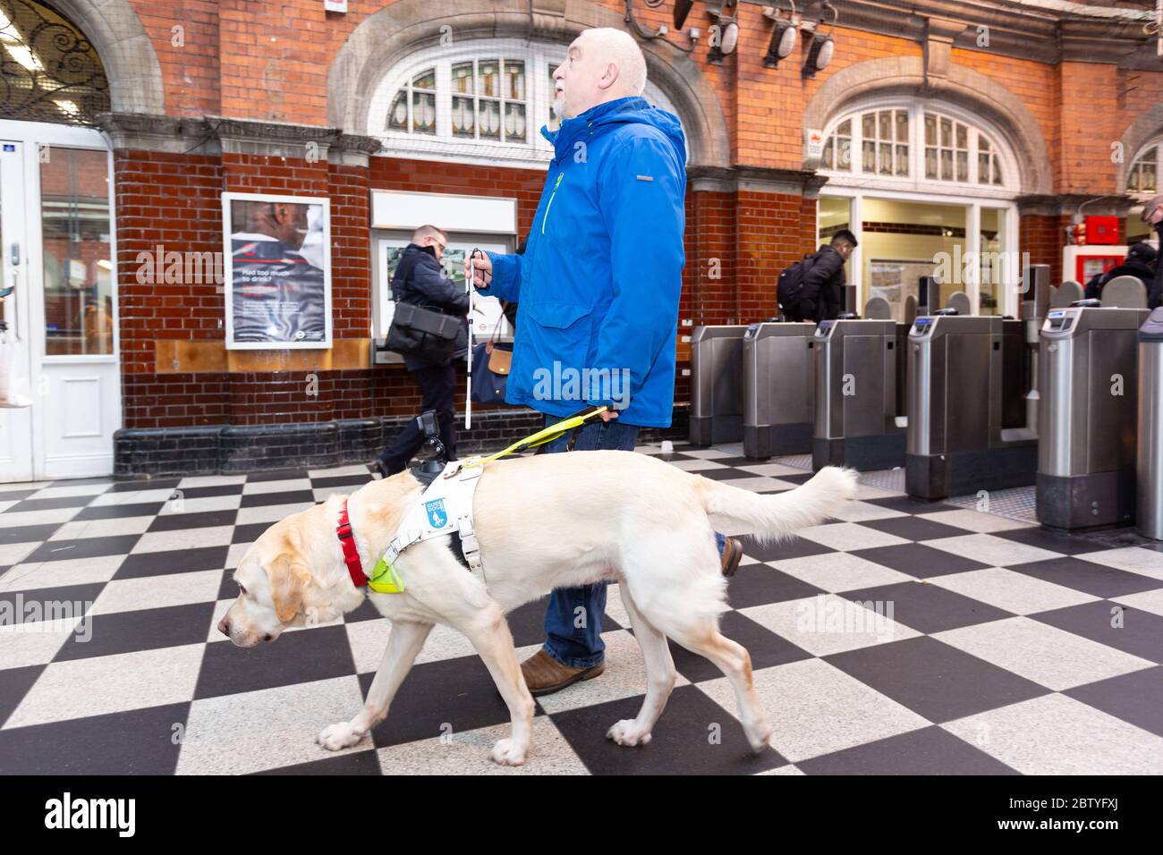 Guide dog london train hi-res stock photography and images - Alamy