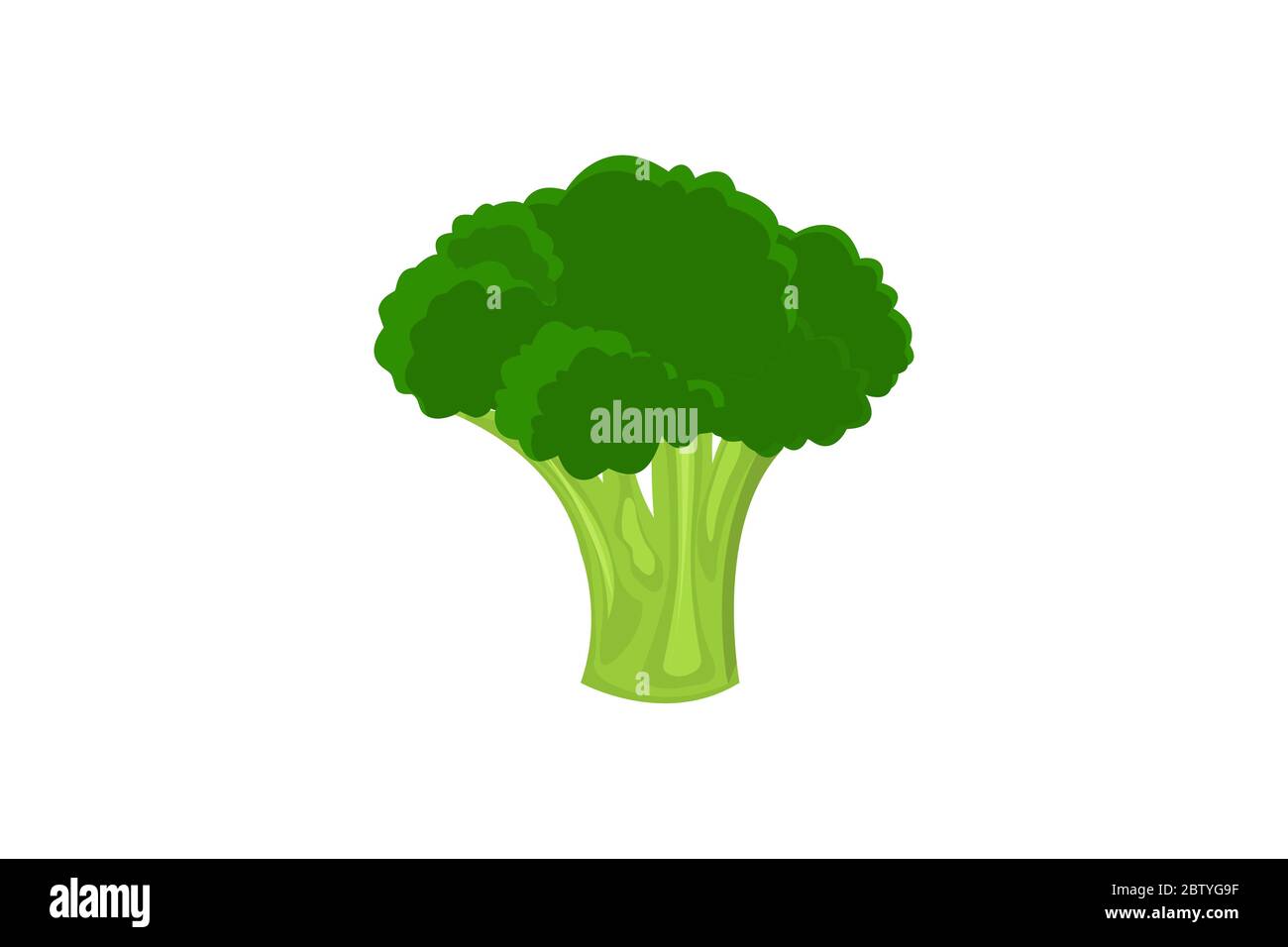Fresh green broccoli background Stock Vector Images - Alamy