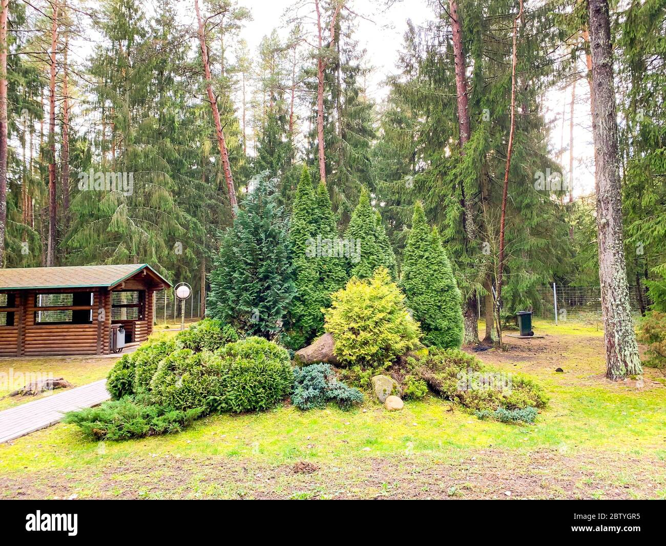 Summer and spring rural landscape, design Stock Photo - Alamy