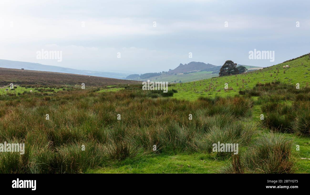English countryside near Upper Hulme, Leek, Peak District National Park ...