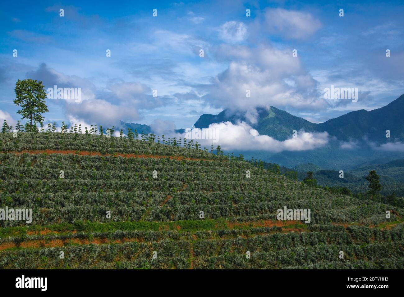 Mountain of india western ghats background view hi-res stock ...