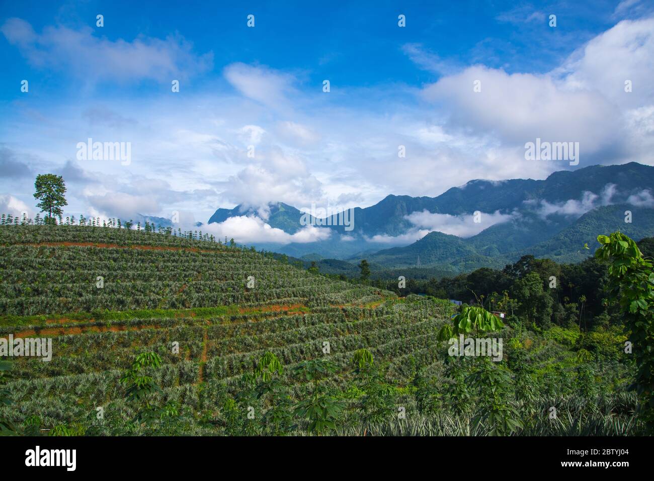 Western Ghats Mountain landscape and Wayanad mountain Stock Photo - Alamy