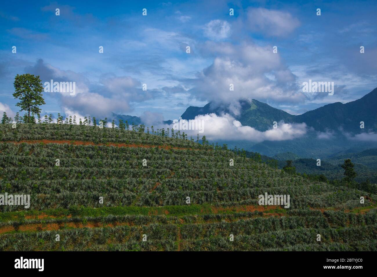Western Ghats Mountain landscape and Wayanad mountain Stock Photo - Alamy