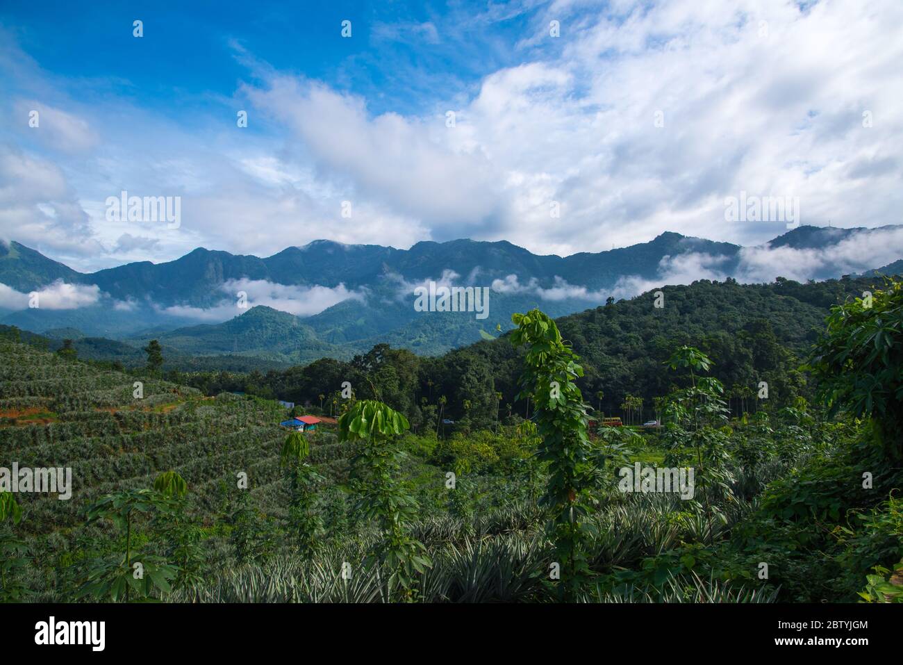 Western Ghats Mountain landscape and Wayanad mountain Stock Photo - Alamy