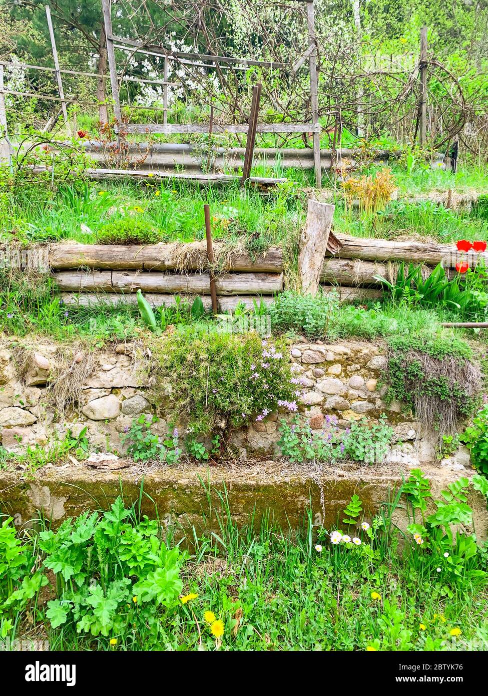 Summer and spring rural landscape, design Stock Photo - Alamy