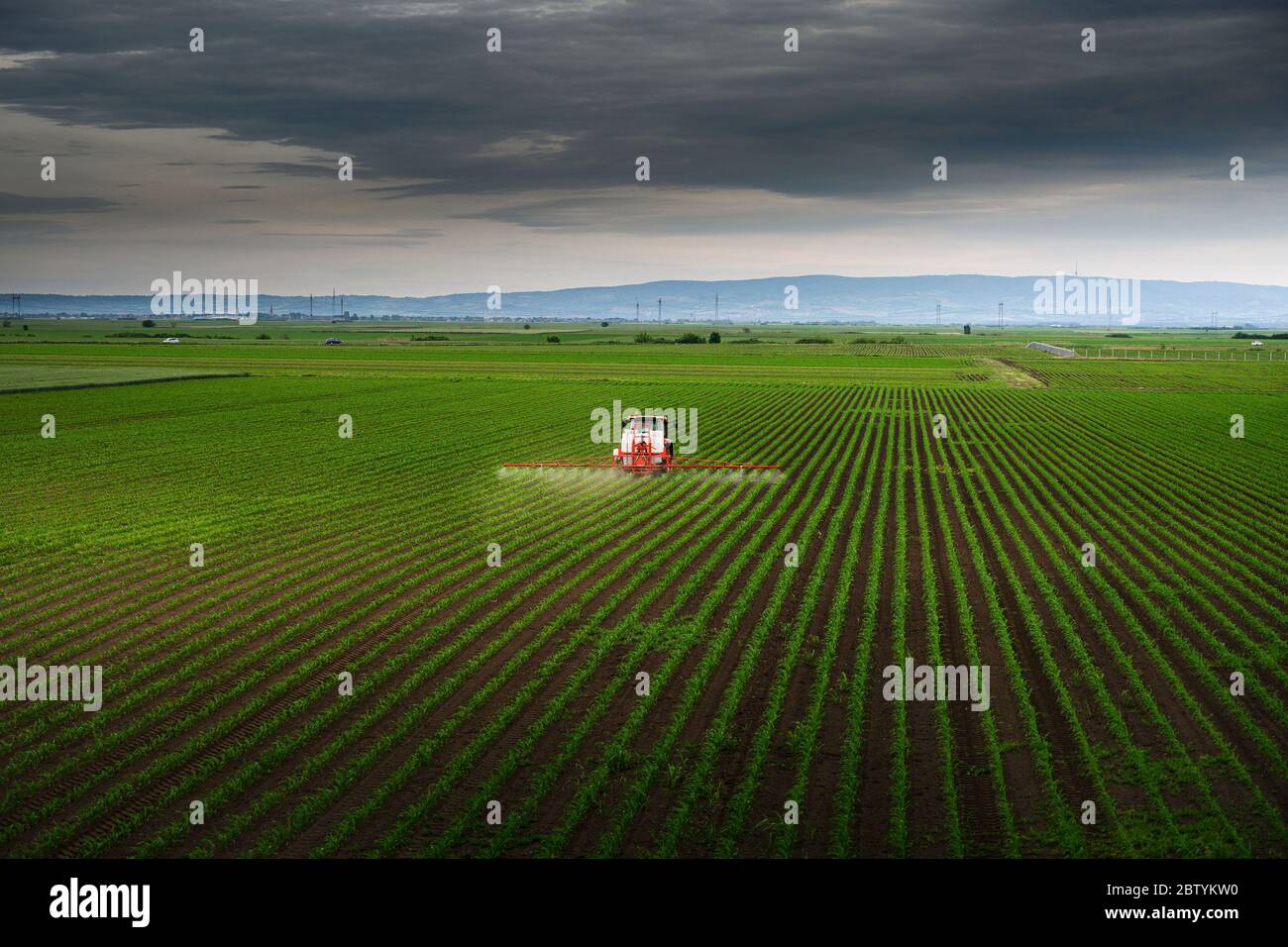 Tractor spraying pesticides on corn field with sprayer at spring Stock ...