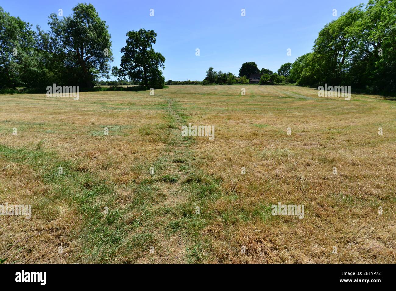 Cut grass paddock hi-res stock photography and images - Alamy