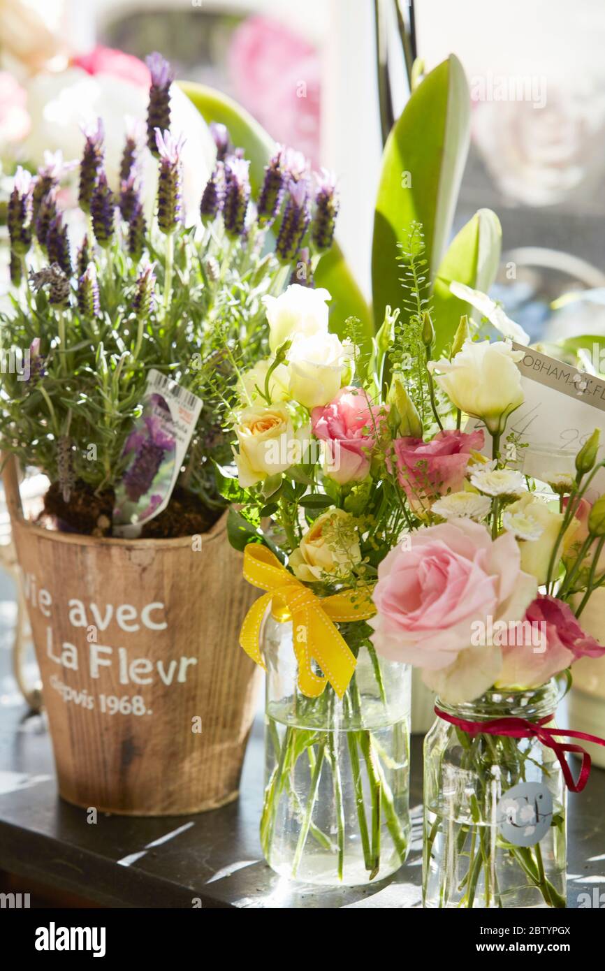 Chobham flowers hi-res stock photography and images - Alamy