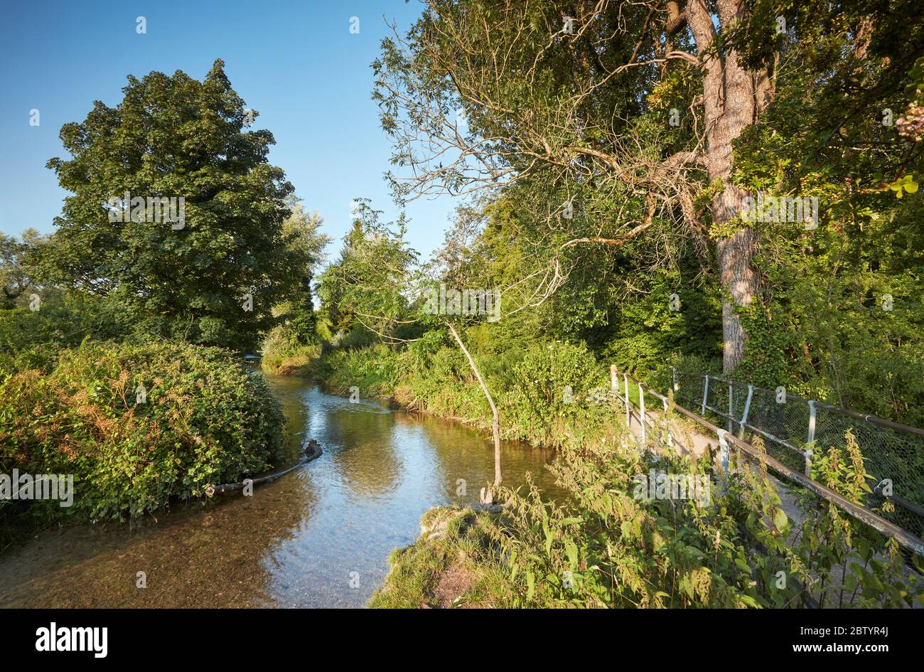 The Meon River in Droxford, Hampshire, England, UK Stock Photo - Alamy